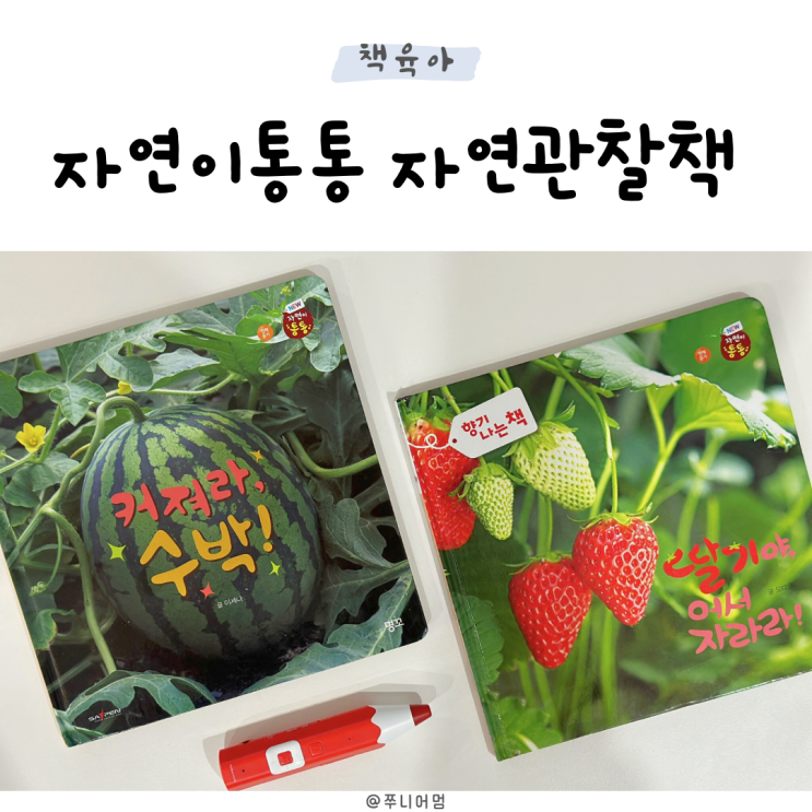 자연관찰 전집 자연이 통통 세이펜 수박 딸기책 독후활동 네이버 블로그