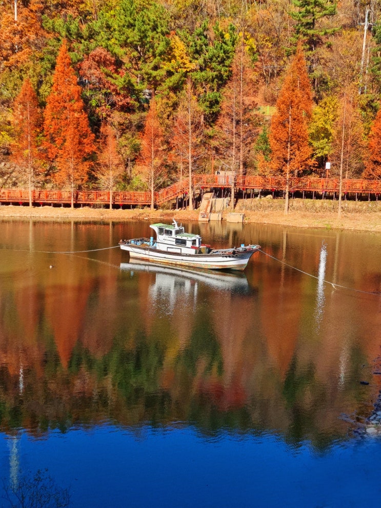 기장 용소 웰빙공원, 새 단장을 마친 기장 핫플! 부산 여행지 : 네이버 블로그