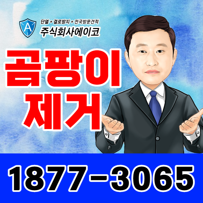 벽지 곰팡이 제거 락스 말고 결로방지단열재도배페인트 칠 네이버 블로그