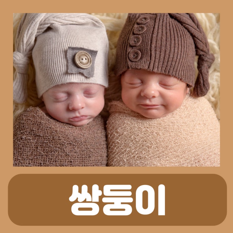 이란성 일란성 세쌍둥이 네쌍둥이 차이 쌍둥이 임신 자연분만 가능 낳는법 네이버 블로그