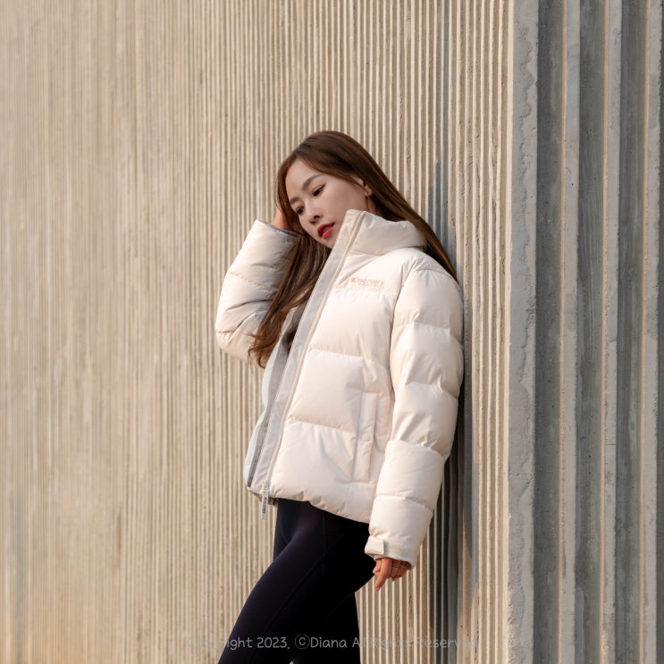 겨울 데일리룩 여자 구스패딩 디스커버리 레스터g 구스다운 숏패딩 네이버 블로그