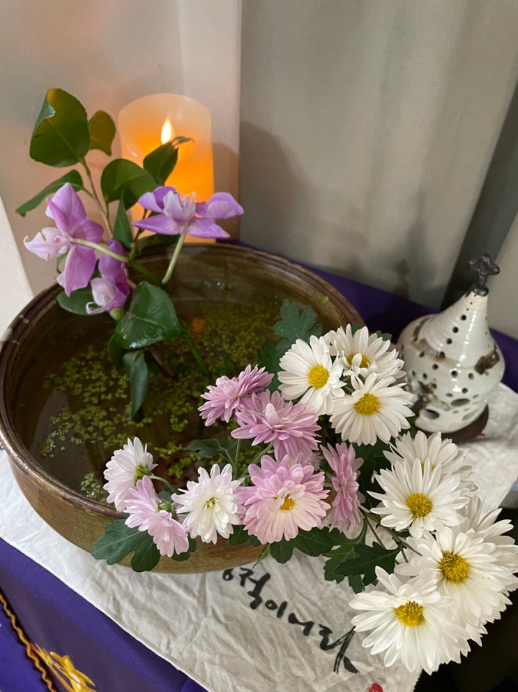 물꽂이 : 네이버 블로그