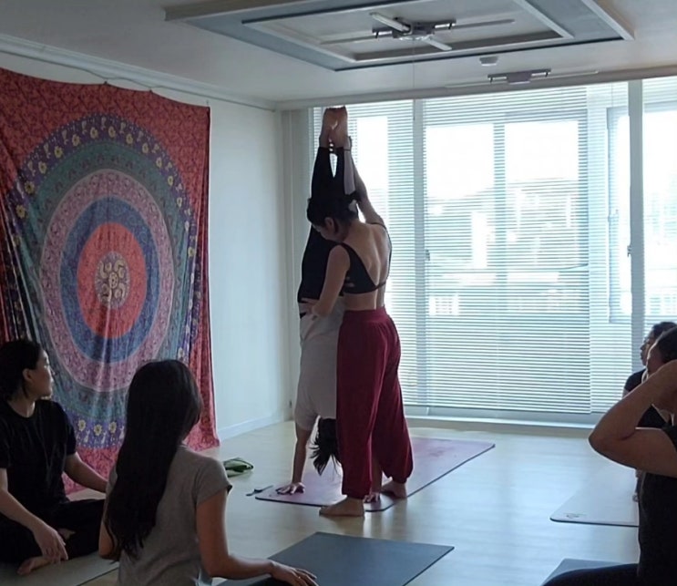 청주요가/12월 소그룹 횟수제선택등록안내/교정요가전문/체계적인수업/지도자반과정/내덕동요가/soo yoga : 네이버 블로그