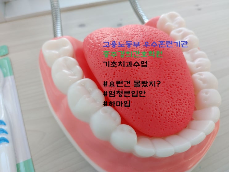 기초치과 수업 준비 중 충주경희간호학원 국비지원 간호조무사 교육기관 24년 3월 25일 개강반 수강생 모집 안내 네이버 블로그