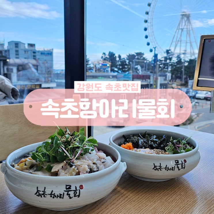 속초해수욕장 속초 항아리물회 맛집 속초 여행 필수 코스 가족여행 코스 추천 속초 아이 대관람차 뷰 네이버 블로그