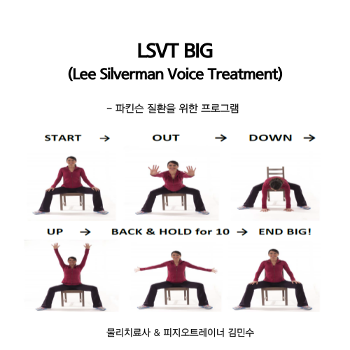LSVT(Lee Silverman Voice Treatment) BIG 프로그램 : 네이버 블로그