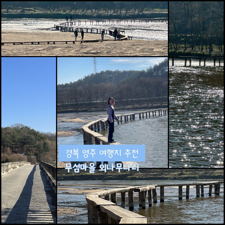 경북 영주 무섬마을 외나무다리 사진꿀팁 영주여행 가볼만한 곳 네이버 블로그