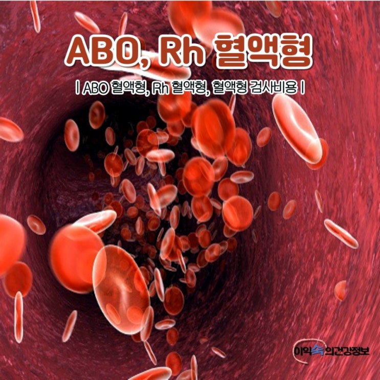 ABO식 혈액형 RH 혈액형 RH+ RH- 차이 혈액형 검사 해야하는 이유는? : 네이버 블로그