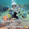 베트남여행 나트랑 베나자 보트투어 스노쿨링 솔직후기 Ft 씨워커 패러세일링 내돈내산 네이버 블로그