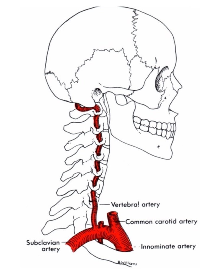Cervical Quadrant Test 경추사분위 검사 : 네이버 블로그