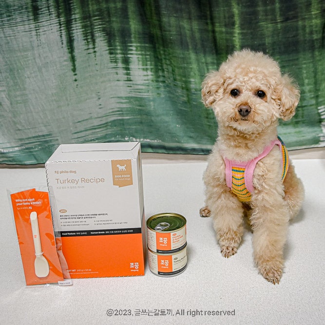 사료 잘 안먹는 강아지 습식 사료 추천, 조공 필로독(philo dog) 칠면조 화식 : 네이버 블로그