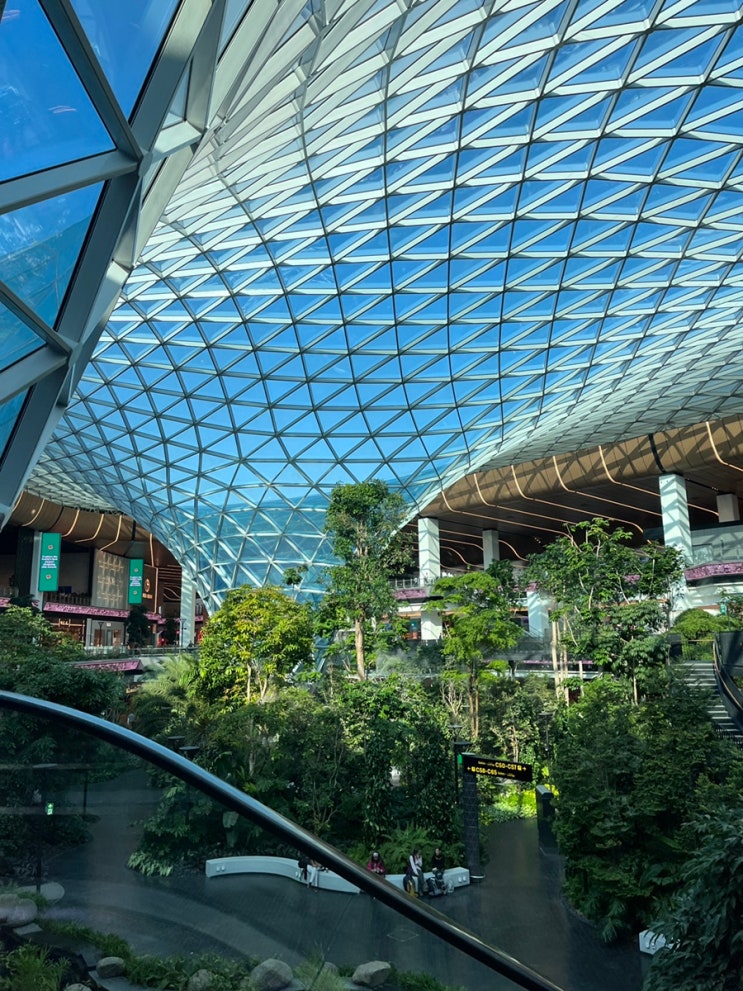 [이탈리아여행] 카타르항공 탑승후기, 특별기내식(저칼로리식,저염식) 신청방법, 도하공항 라운지 알마하라운지 샤워실 이용후기 ...