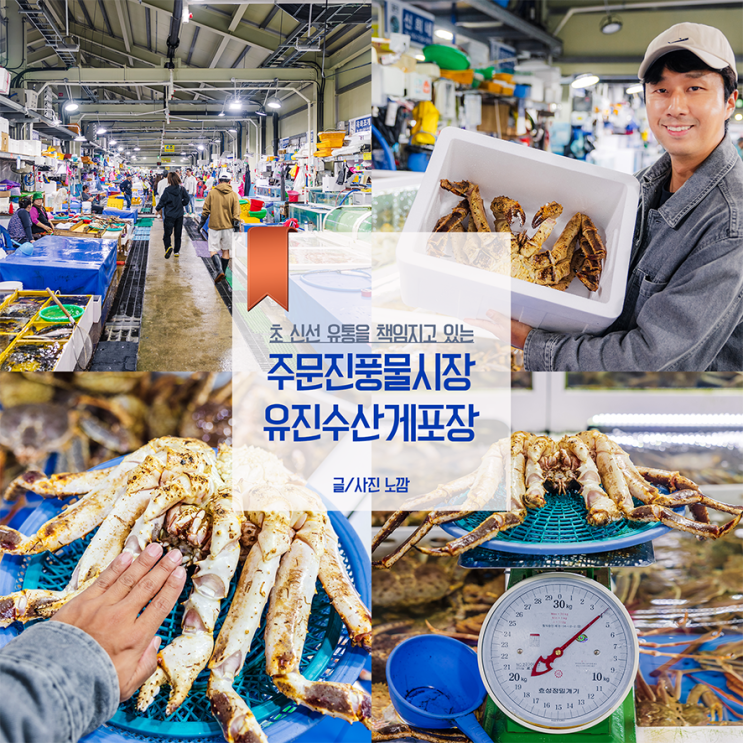 강원도 주문진 대게 킹크랩 강릉 수산시장 포장 네이버 블로그