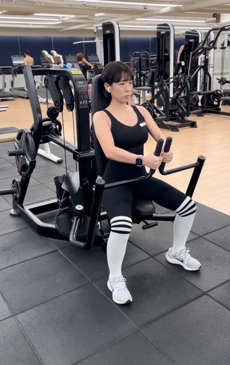 정발산헬스장 겨울철 질병과 밑가슴 운동을 위한 디클라인 플라이 머신 네이버 블로그