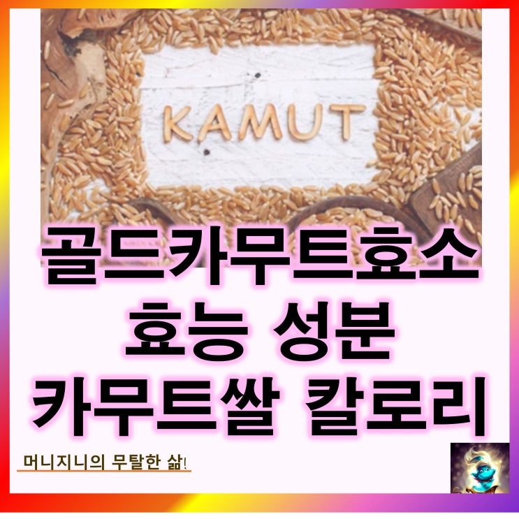 골드 카무트효소 효능 카무트 쌀 칼로리 및 영양성분 네이버 블로그