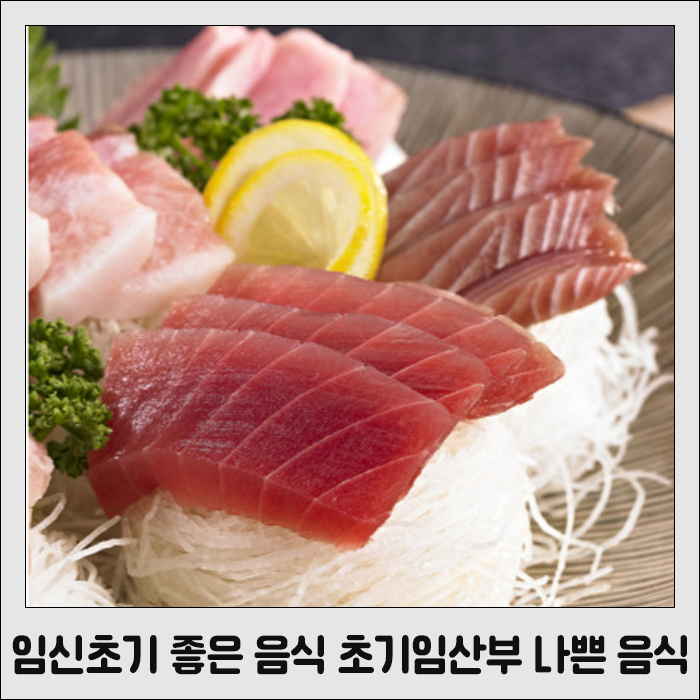임신초기 좋은 음식 초기임산부 나쁜 음식 네이버 블로그