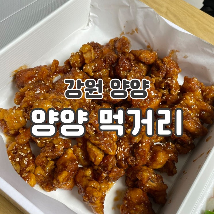 양양 먹거리 맛집투어의 날 감나무식당 송이닭강정 하조대어촌계회센터 네이버 블로그