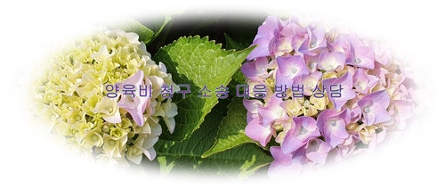 전처가 이혼할때 양육비를 안받기로 했으나 과거양육비하고 장래양육비 청구 소송했을때 어떻게해야하는지 상담 과거양육비청구 기각주장 및 장래양육비청구 감액주장 답변서 제출