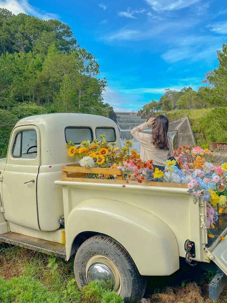 베트남 달랏 3박4일 자유여행 총정리: 일정, 꿀팁, 택시투어 : 네이버 블로그