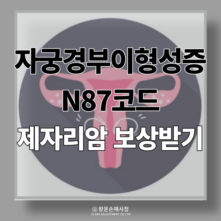 자궁경부이형성증n87 제자리암유사암 진단비 받기꼭 조직검사결과지 검토 후 암진단비 수령하세요숨은보험금 찾기