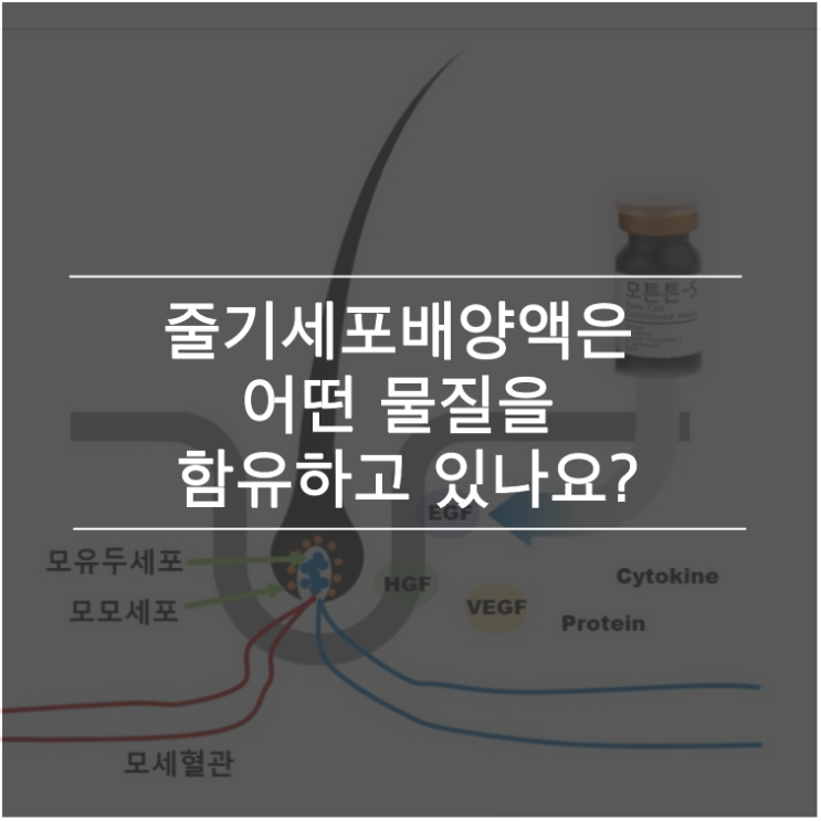 줄기세포배양액은 어떤 물질을 함유하고 있나요 네이버 블로그