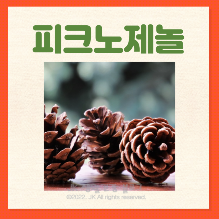 피크노제놀 효능 효과 및 피크노제놀 부작용 네이버 블로그