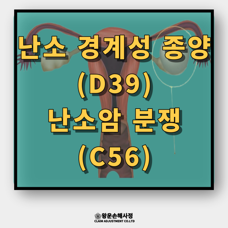 D391난소 경계성 종양진단시 조직검사 결과지 꼭 확인하세요소액암이 아닌 일반암으로 지급받은 사례 네이버 블로그
