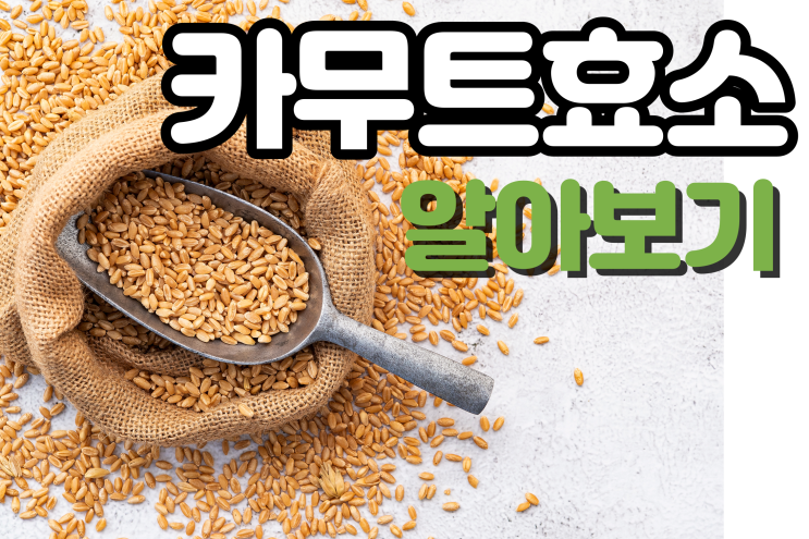 골드 카무트효소 효능 5가지 먹는법 부작용 카뮤트효소 네이버 블로그