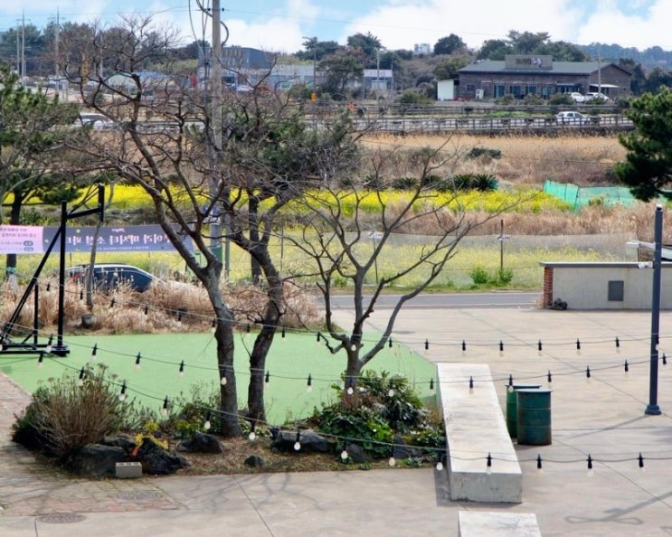 여자 혼자 여행 제주도 숙소 성산 일출봉 호텔 플레이스 캠프 제주 디럭스 추천 네이버 블로그
