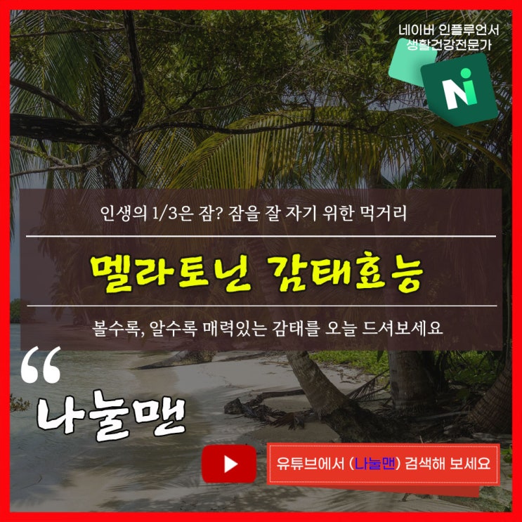 멜라토닌 수면부족 감태효능 감태추출물 깊은수면 램수면 만들자 네이버 블로그