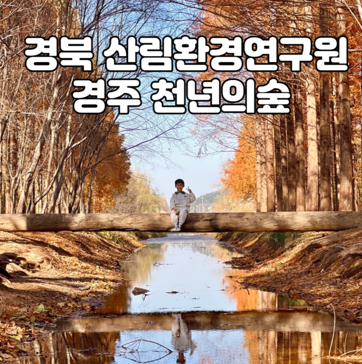 가을명소 경주 천년의숲 정원 경북 산림 환경연구원 주차 포토존 네이버 블로그