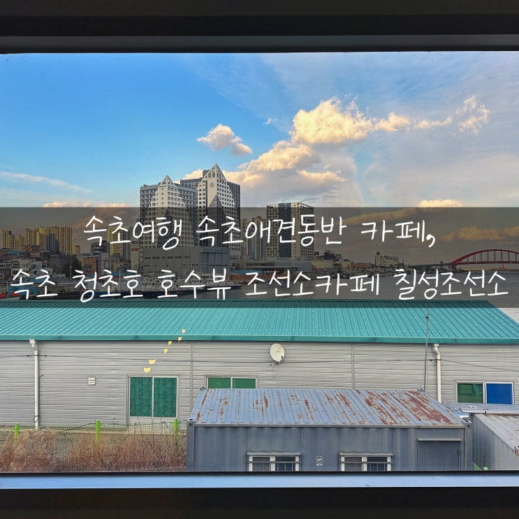 속초여행 속초애견동반 카페 속초 청초호 둘레길 휴식처 조선소카페 칠성조선소 네이버 블로그