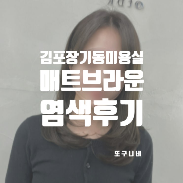 김포 장기동 미용실 탈색없이 매트브라운 염색 웜톤 톤다운 붉은기 없는 염색 후기 오티디룸 혜령 실장님 네이버 블로그