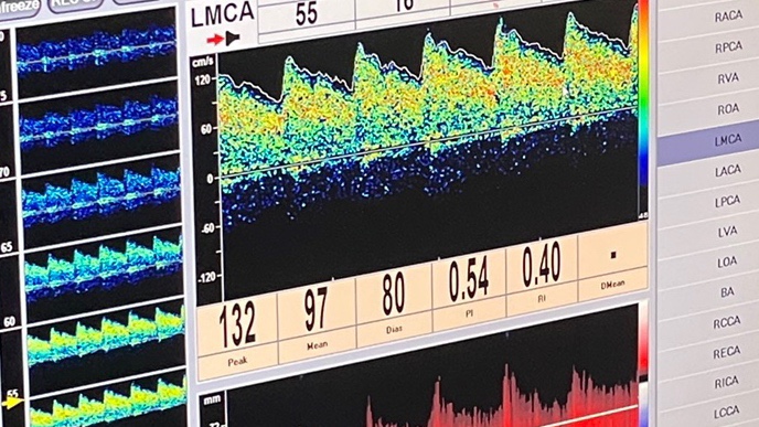 1교시 의료관계법규, 해부생리학, 조직병리학, 임상생리학 오답 정리 최종! : 네이버 블로그