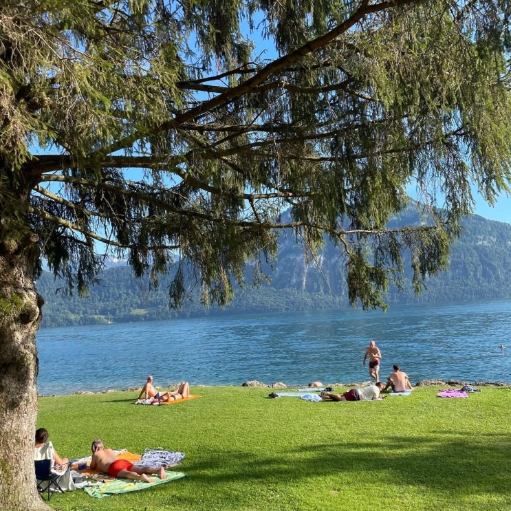 [스위스] 린트 초콜릿 박물관 근처 맛집! Chez Fritz + Seebad Kilchberg 호수 수영‍ 🚣🏻‍♀️💙 ...
