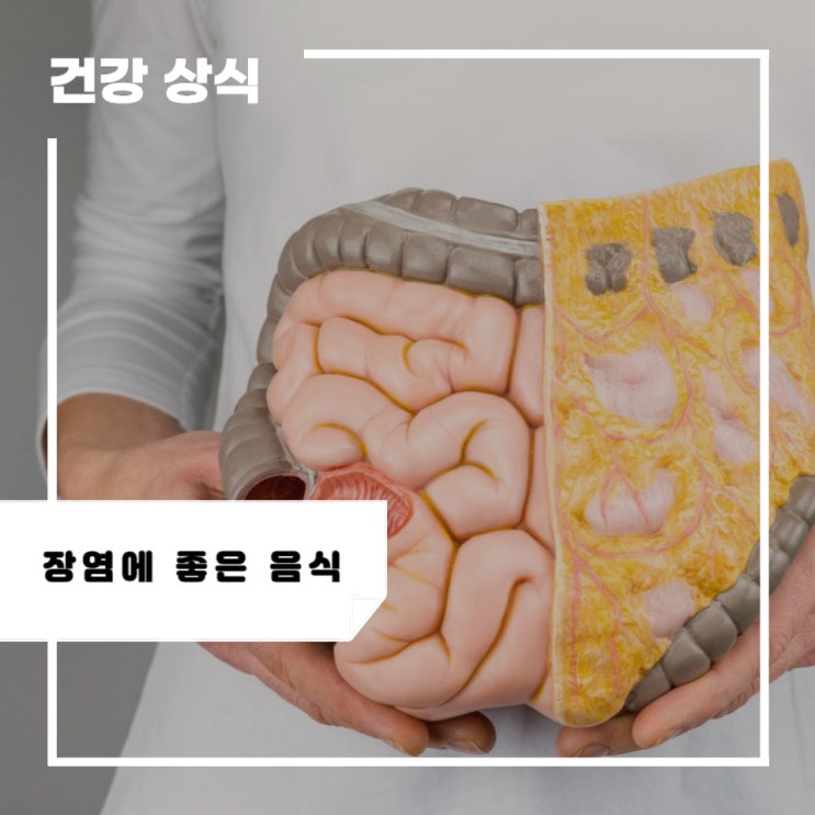 장염 먹어도 되는 음식과 장염에 좋은 회복 음식 5가지 안좋은 음식은 네이버 블로그