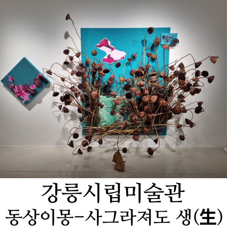 무료입장 강릉 시립미술관 주말 전시회 데이트 문화생활 네이버 블로그