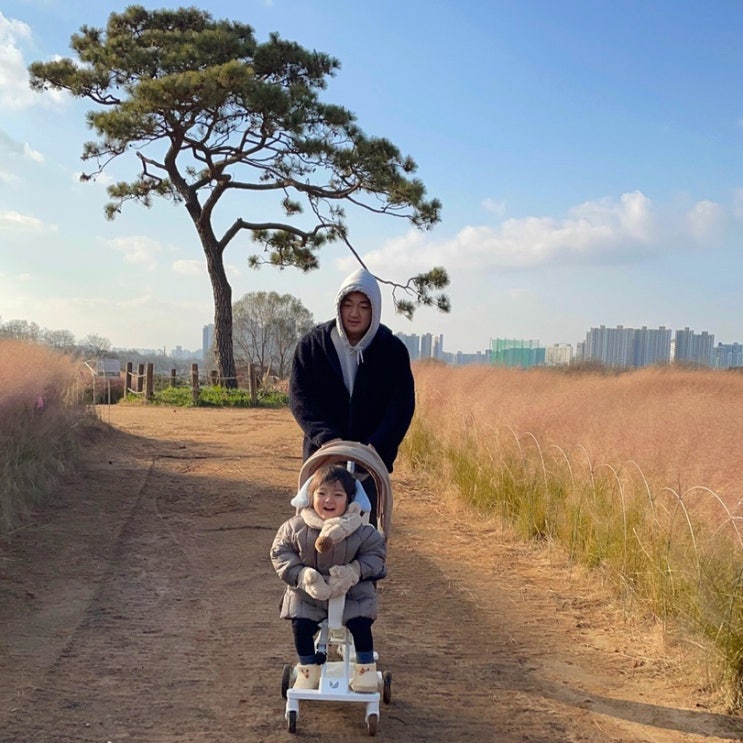 기내반입 아기 휴대용 유모차 와이업 위드라이트 초경량 유아 트라이크 네이버 블로그