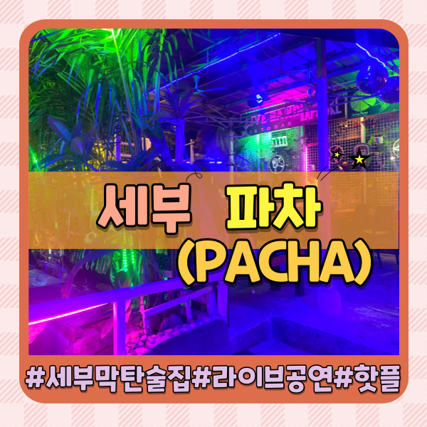 세부 막탄 라이브공연이 있는 분위기 좋은 펍 세부 파차(PACHA) : 네이버 블로그