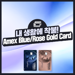 KB국민카드로 만나는 내 생활 ‘착붙’ 아멕스 카드! American Express Blue/Rose Gold Card 소개 ...