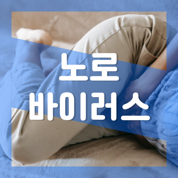 노로바이러스 증상 원인 굴 전염성 걸렸을때 좋은 음식 네이버 블로그