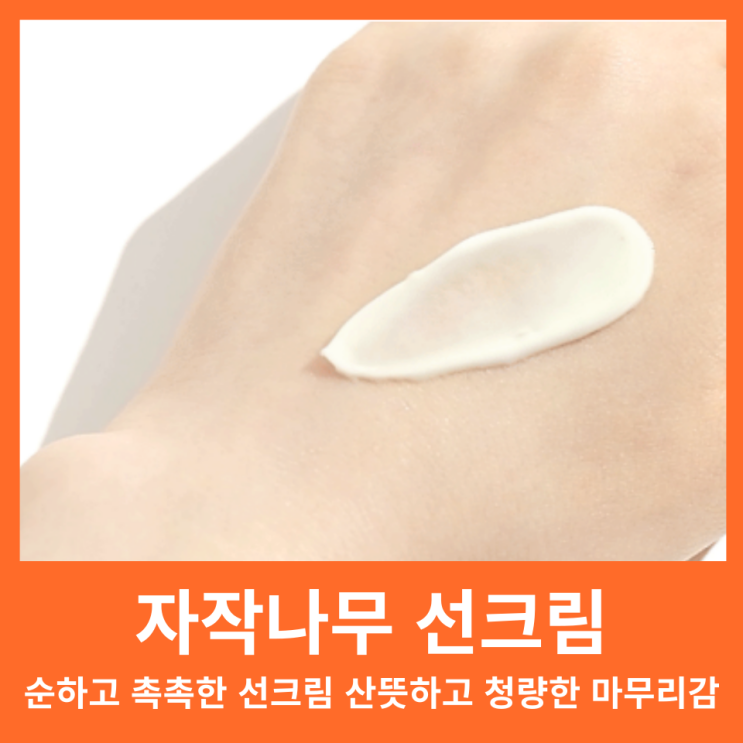 라운드랩 자작나무 수분 선크림 썬크림 성분 및 사용감 네이버 블로그