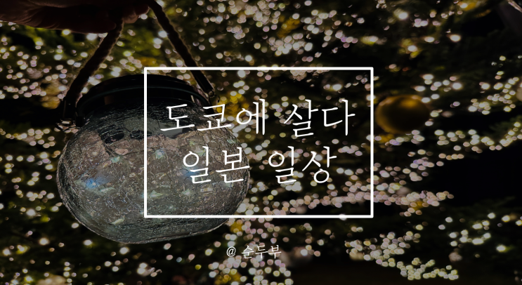 일본 도쿄 일상생활 12월 도쿄 근교 가루이자와 생일 기념 여행 카루이자와 호시노야 하루니레 테라스 손민 식당 일식