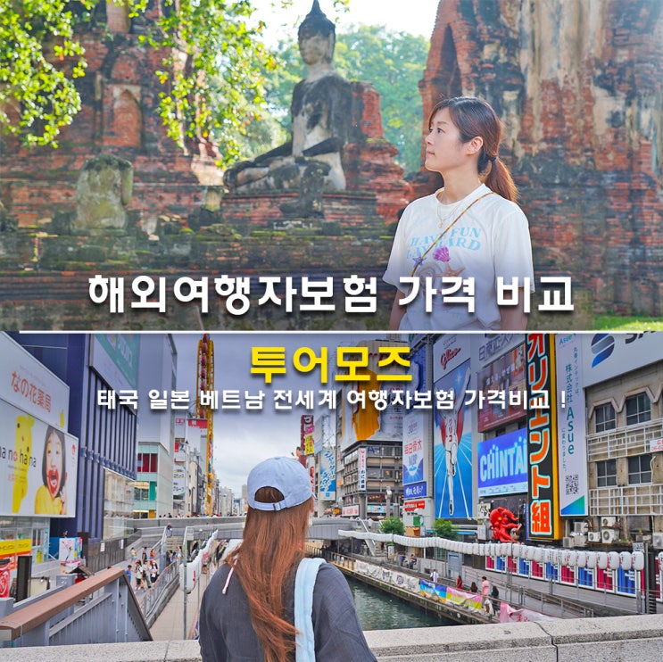 해외여행자보험 가격 비교 태국 일본 베트남 투어모즈 이용 후기 네이버 블로그