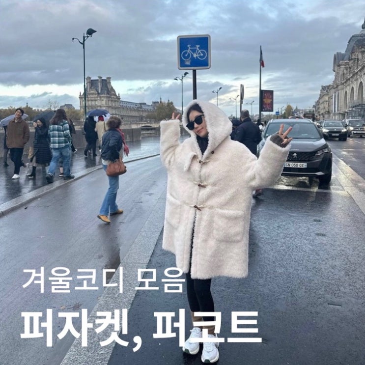 겨울 퍼자켓 퍼코트 코디 연예인 사복 패션뉴진스 김희정 기은세 김채원 네이버 블로그
