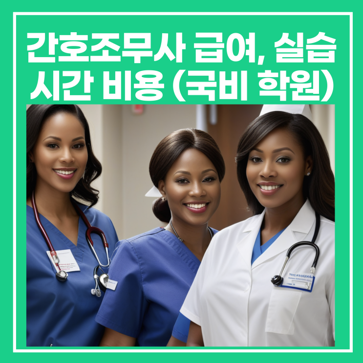 직장인 간호조무사 자격증 월급 급여 실습시간 비용 시험국비 학원 네이버 블로그