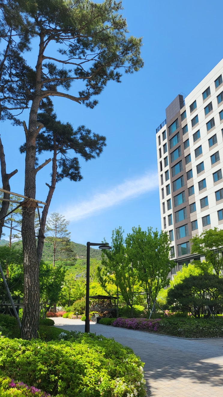 과천 푸르지오써밋 24평 전세 과천아파트 재건축주공 급매 오피스텔 전월세매매 과천부동산세 추천 급전세 상가 사무실 네이버 블로그