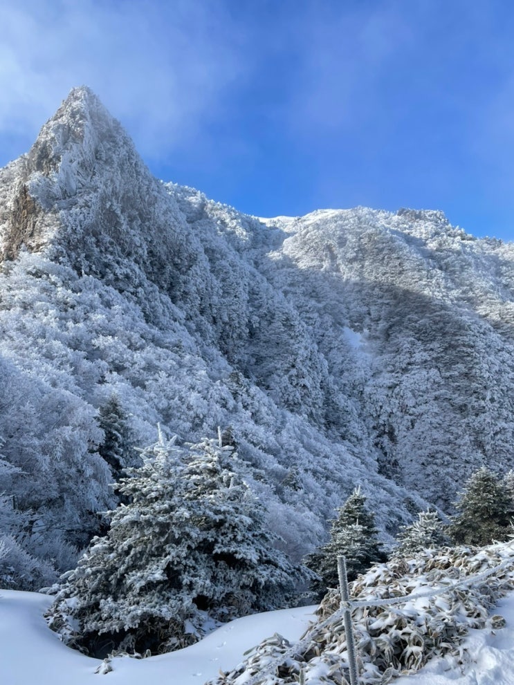 등산 초보 한라산 다녀왔어요 소요시간 탐방예약 등산 코스 준비물 12월 초 백록담 성판악 택시 등정 인증서