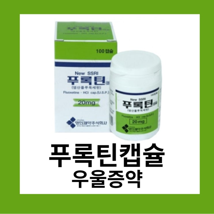 푸록틴캡슐 효과효능 우울증약 공황장애 네이버 블로그