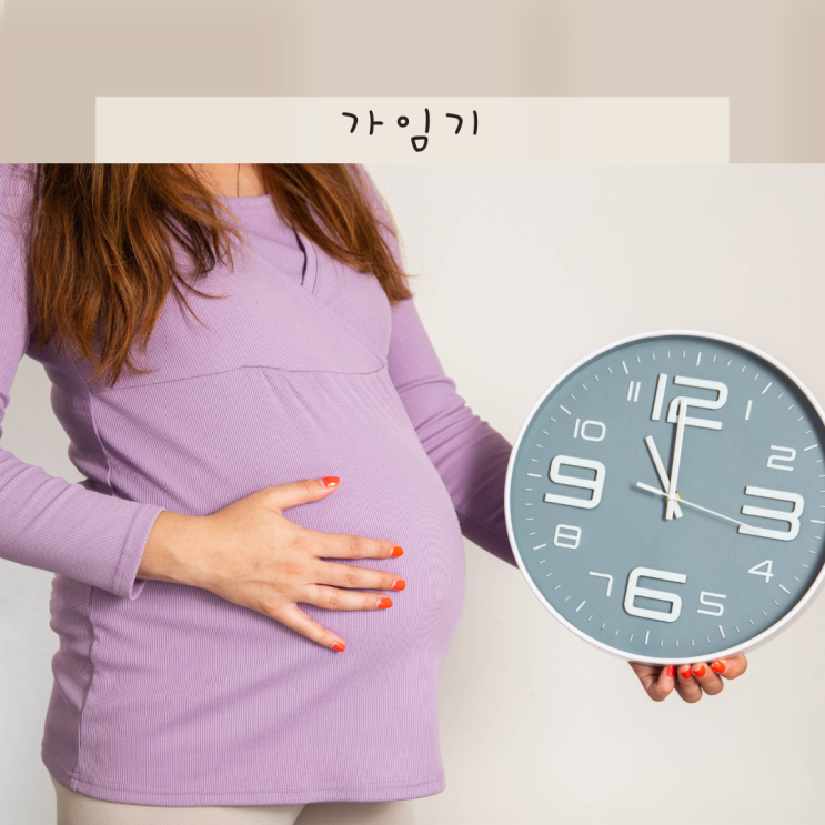 가임기 뜻 증상 가임기때 임신확률 배란일 계산법 계산기 몸무게 비가임기 포함 네이버 블로그